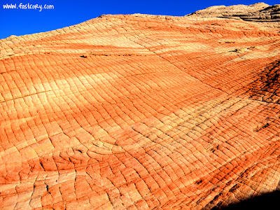 Fast Cory: Yant Flat - Most Beautiful Place In Utah?