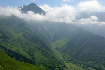 Los Paisajes del Planeta: Zona Templada