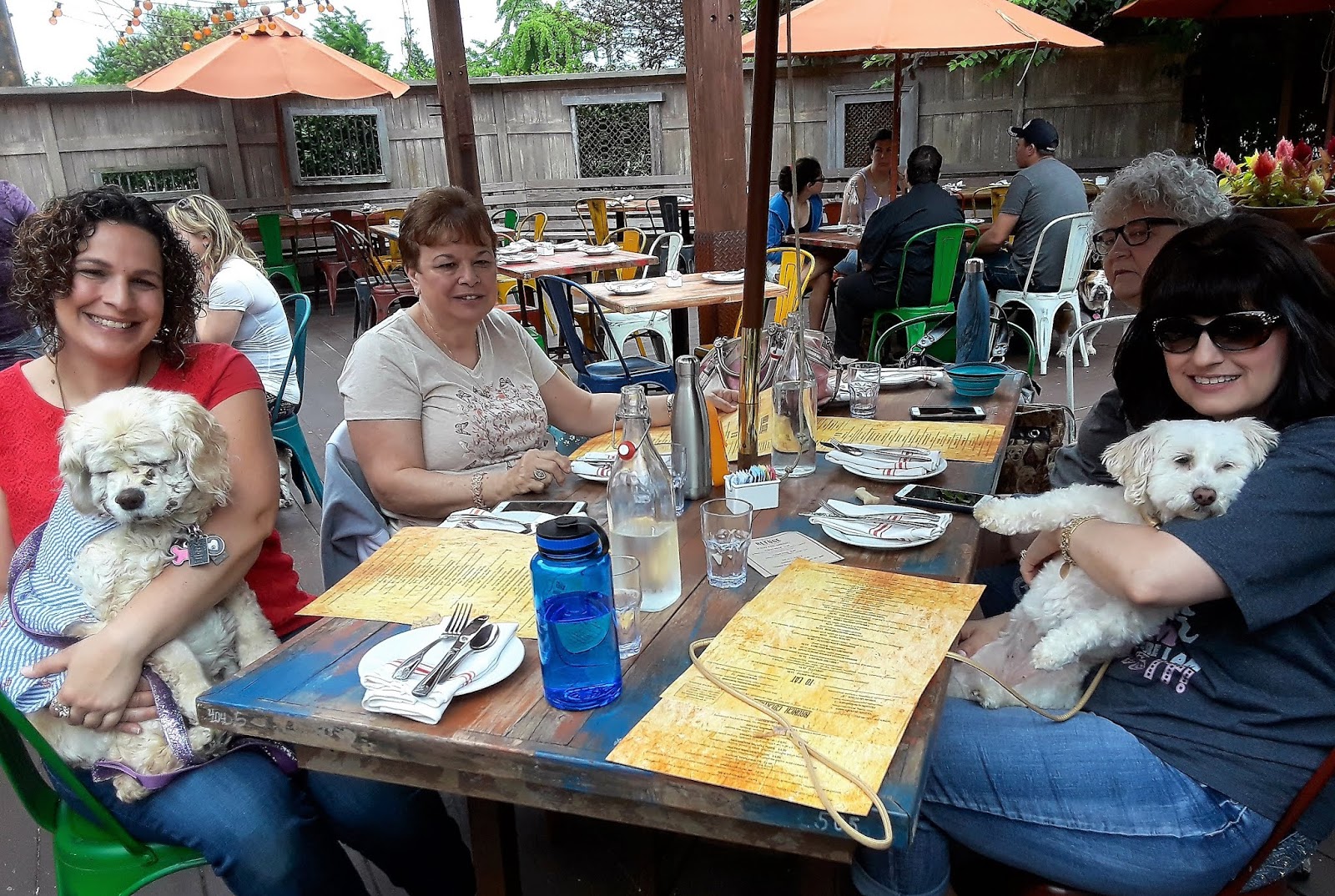 Dogs Luv Us and We Luv Them: DOG FRIENDLY EVENTS THAT HELP RESCUE DOGS