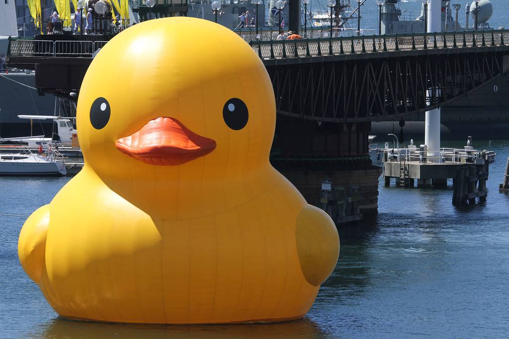 Giant Rubber Duck Swims in to Sydney Harbor ~ Kuriositas