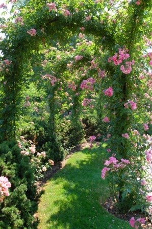 How To Plant A Shakespeare Garden | A Shakespeare Garden