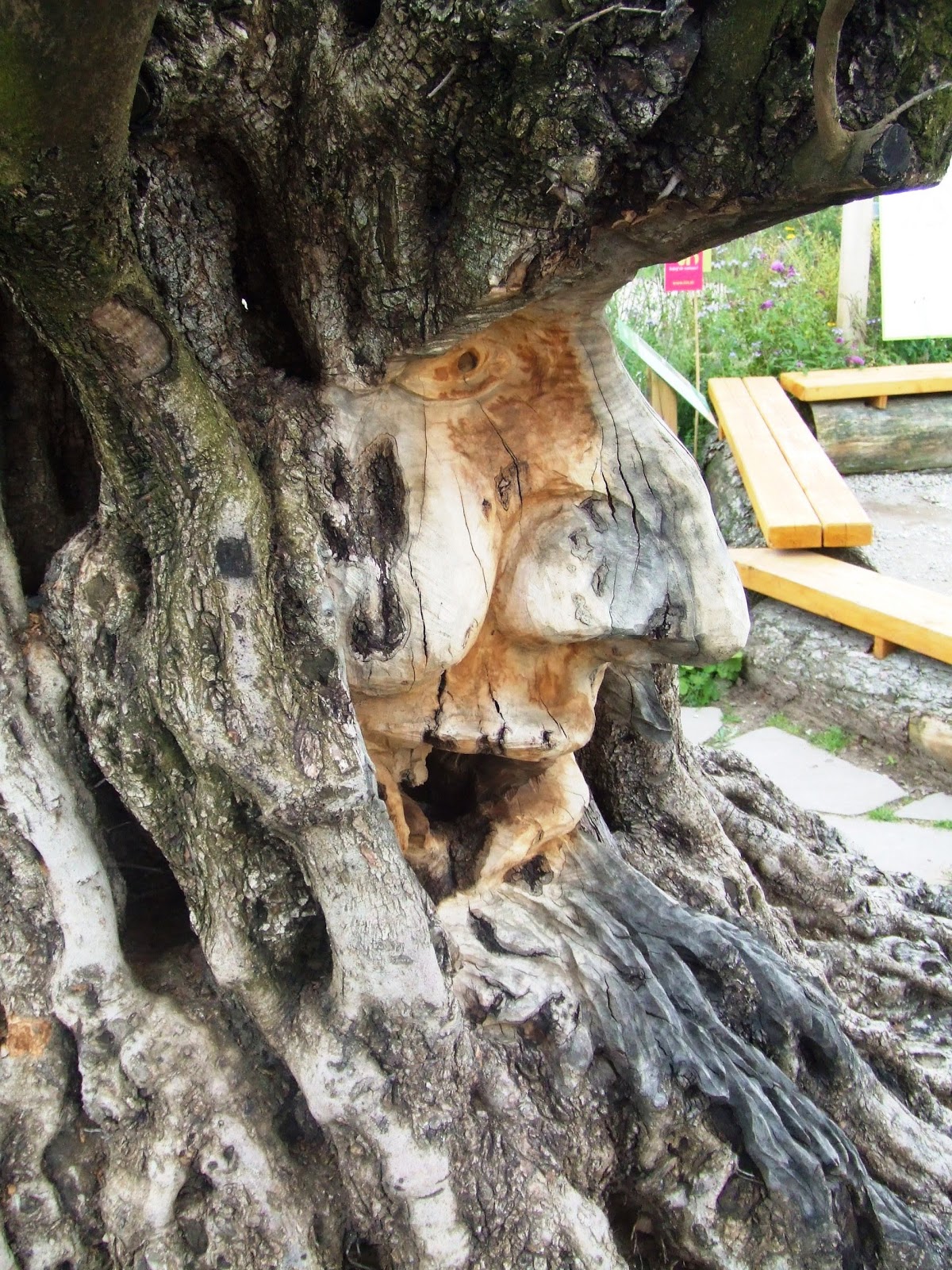 A Garden for Pablo: Remember Remember