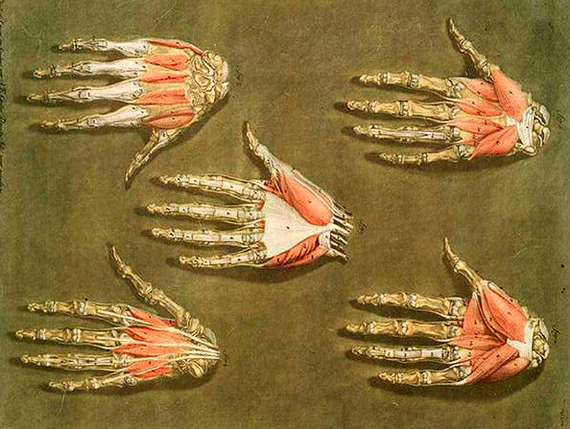 Mountain Dulcimer noter and drone blog: Lazy Fingers