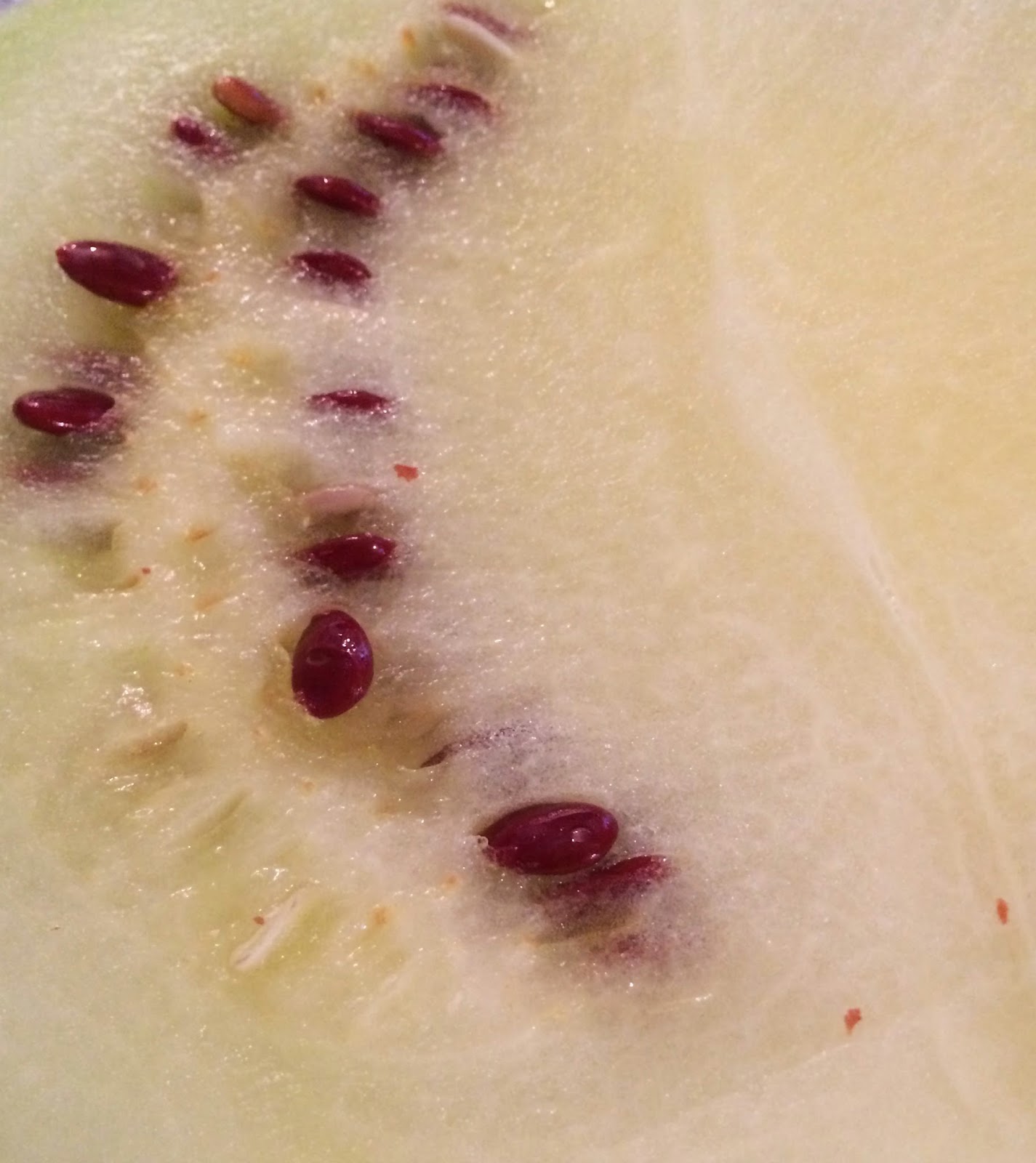 A Taste of History with Joyce White: Citron Watermelon Preserves: You ...