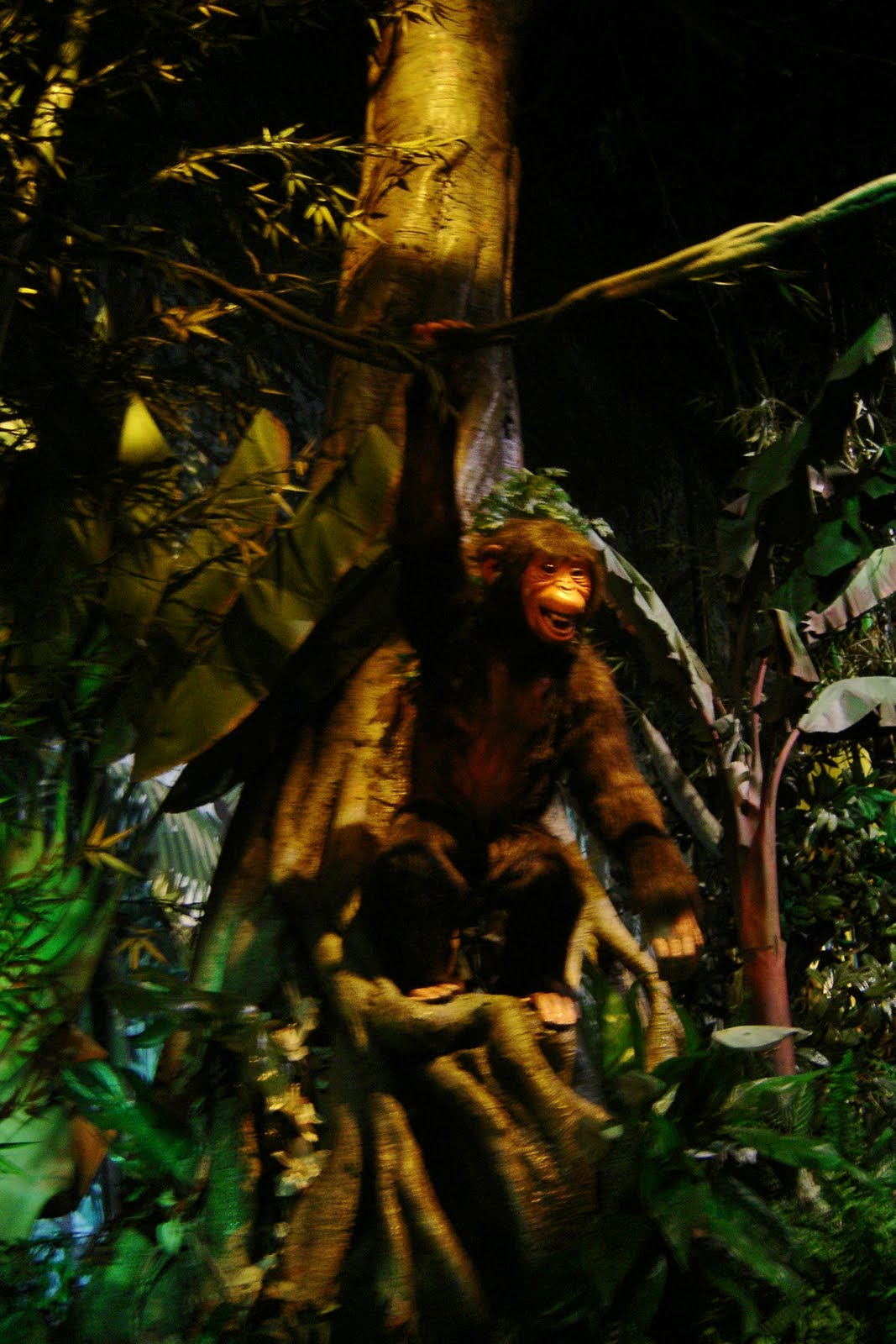 Disney Vacation Kingdom: The Great Movie Ride - Tarzan