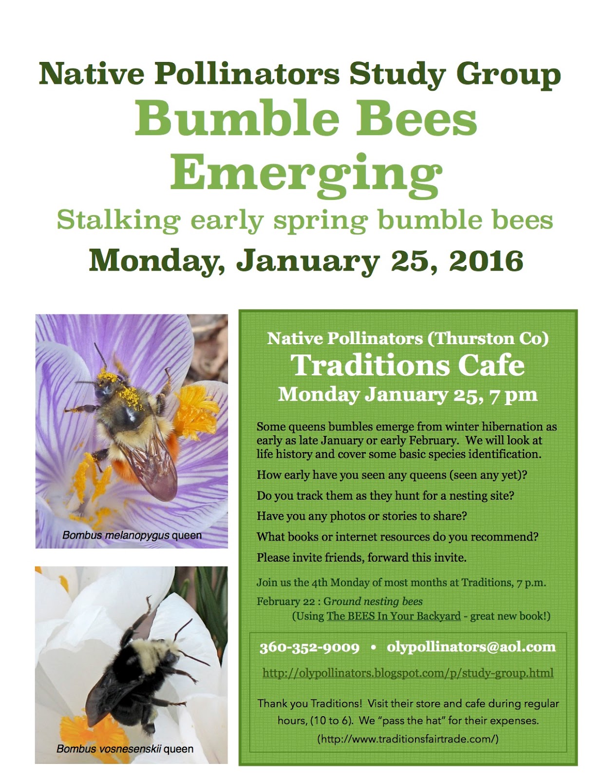 Bees, Birds & Butterflies: Monthly Pollinator Study Group Posters