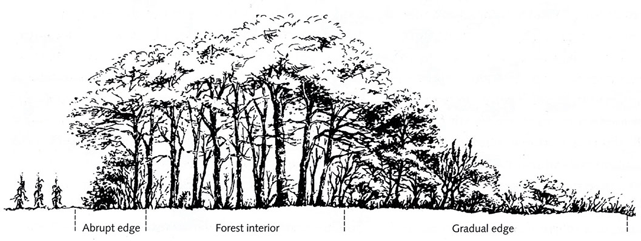 Geografika Nusantara: Road Construction and Kerinci Seblat National ...