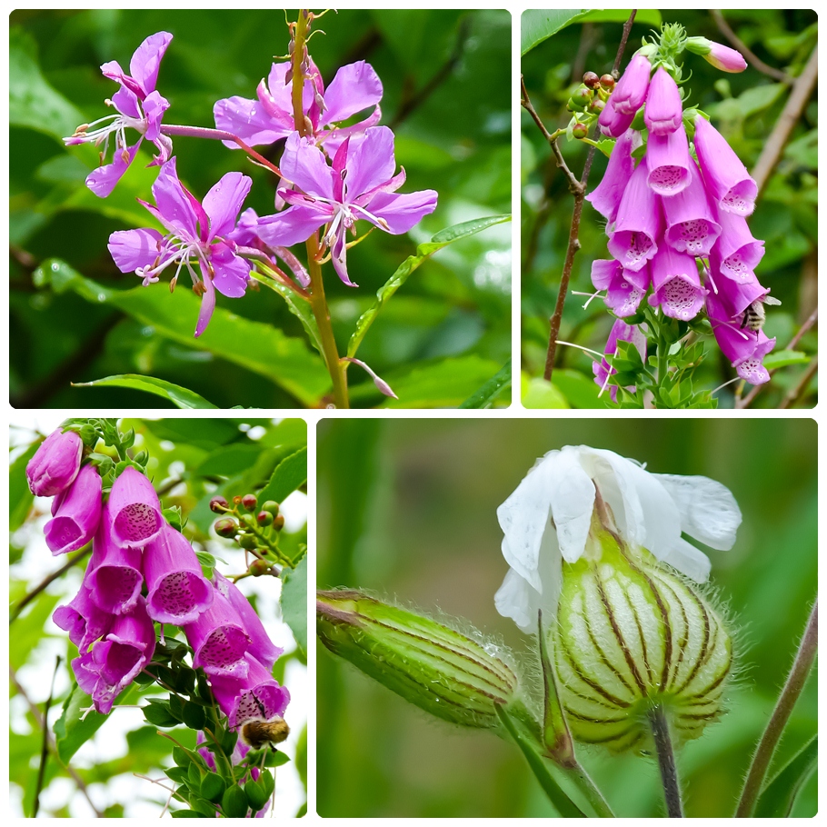 Skagen - Where Two Seas Collide |Blissful Solitary Wanderings