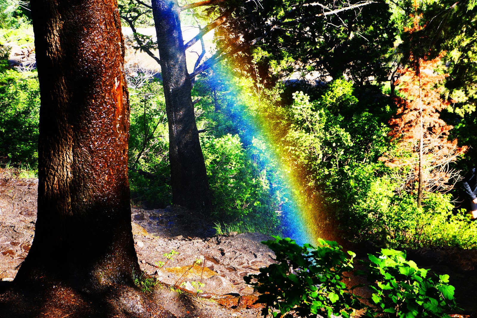 Lazarow World-Hike-About: Pre-Mount Olympus Climb (blog): 'A Utah Water ...