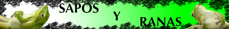 Sapos y Ranas: Las Ranas =)