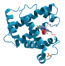 Jenis-jenis Protein