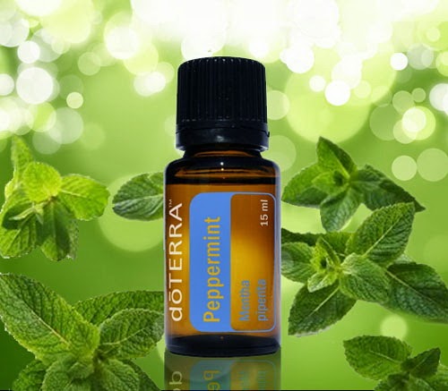 dōTERRA Cambiando Estilos de Vida: ACEITE ESENCIAL DE MENTA (PEPPERMIT ...