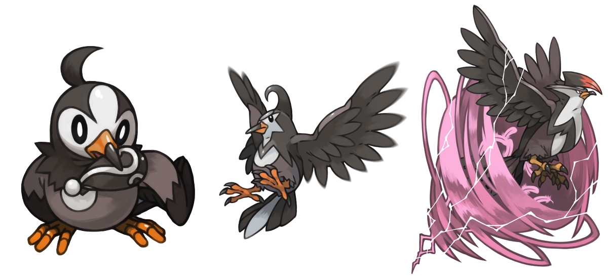 Staravia Evolution Chart