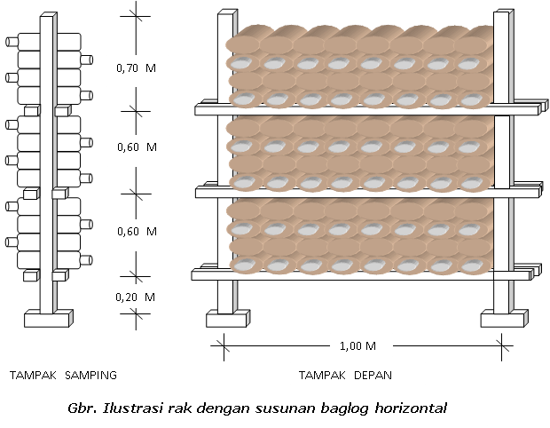 Budidaya dan Menjual Jamur Tiram: Kumbung