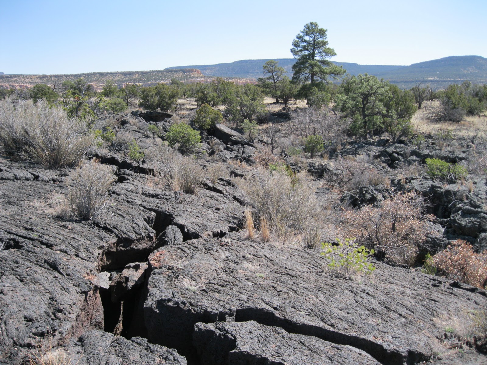 Four Corners Hikes-Navajo Nation: Acoma-Zuni Trail in El Malpais