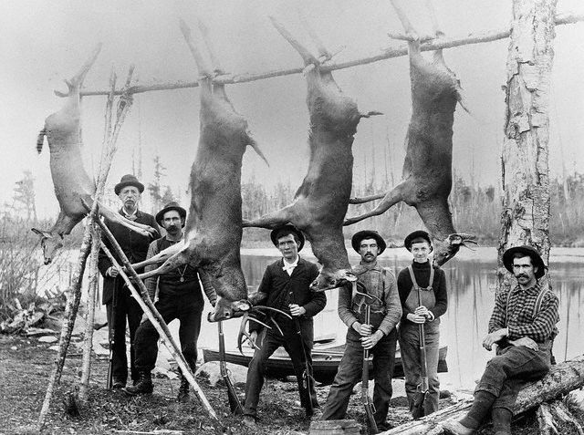 Terrierman's Daily Dose: Deer Hunting, Wisconsin, 1900