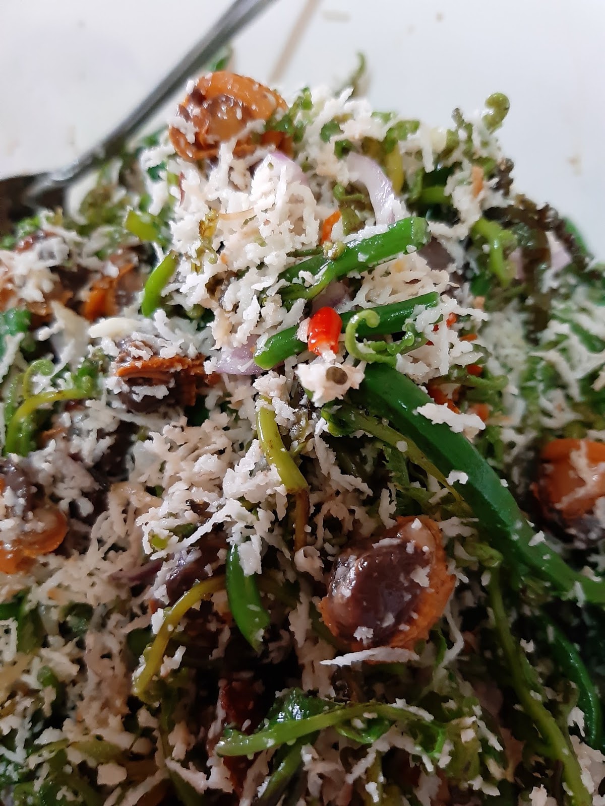 DANA: Resepi kerabu pucuk paku kerang