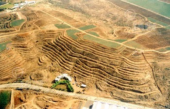 A. A. Shah's IAS Institute, Mumbai: CONTOUR BUNDING