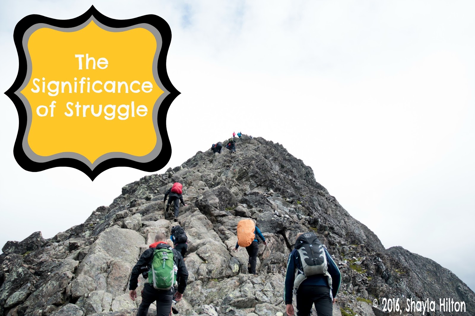 Haven of Hope: August 2016