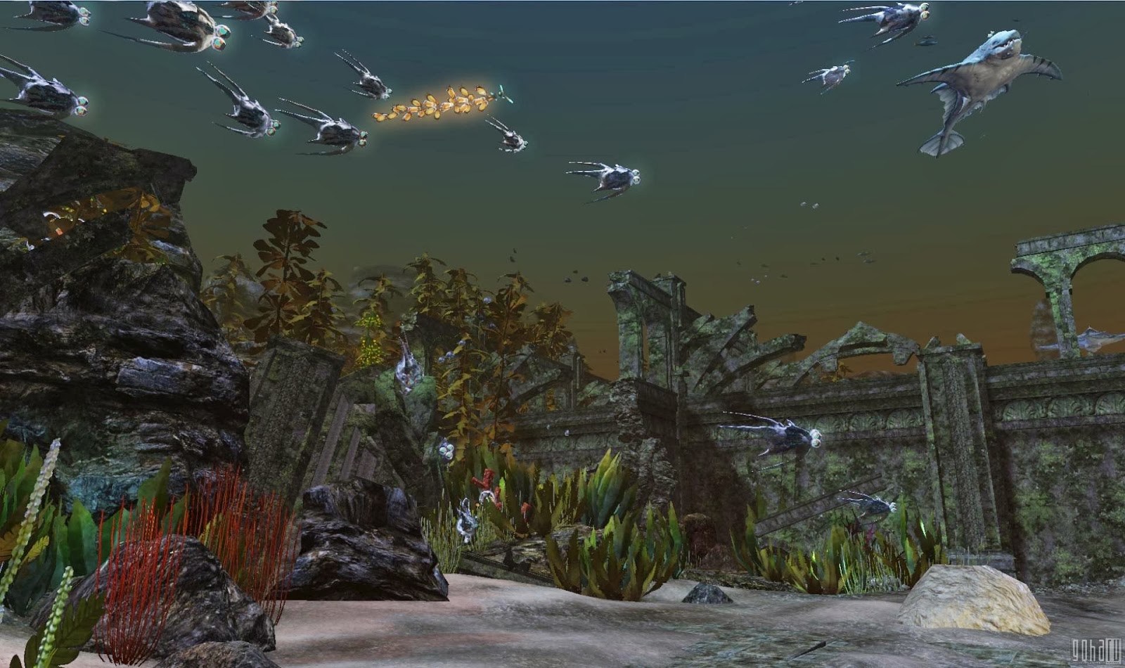 Dragon's Prophet - новые детали обновлений "Dragon Evolution" и "Olandra"