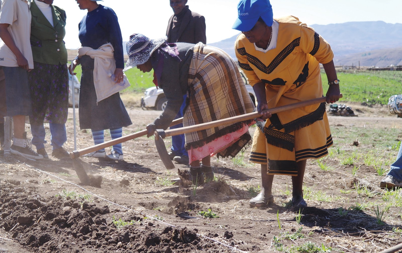 PAMACC News: Conservation Agriculture: way for Lesotho