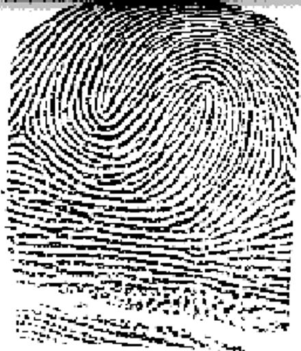 CLASES DE DACTILOGRAMAS: CLASES DE DACTILOGRAMAS