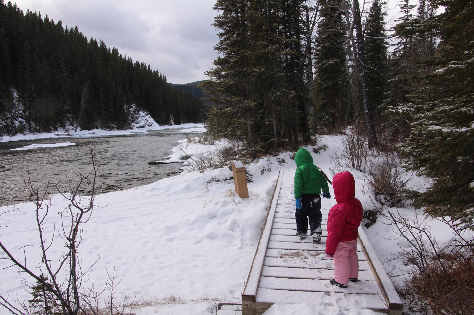 Family Adventures in the Canadian Rockies: Winter Hiking in the Elbow ...