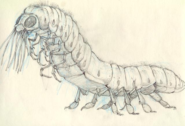 Planar Adventures for Dummies: Ecology of the rot grub, slime crawler ...