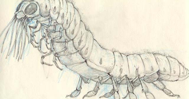 Planar Adventures for Dummies: Ecology of the rot grub, slime crawler ...