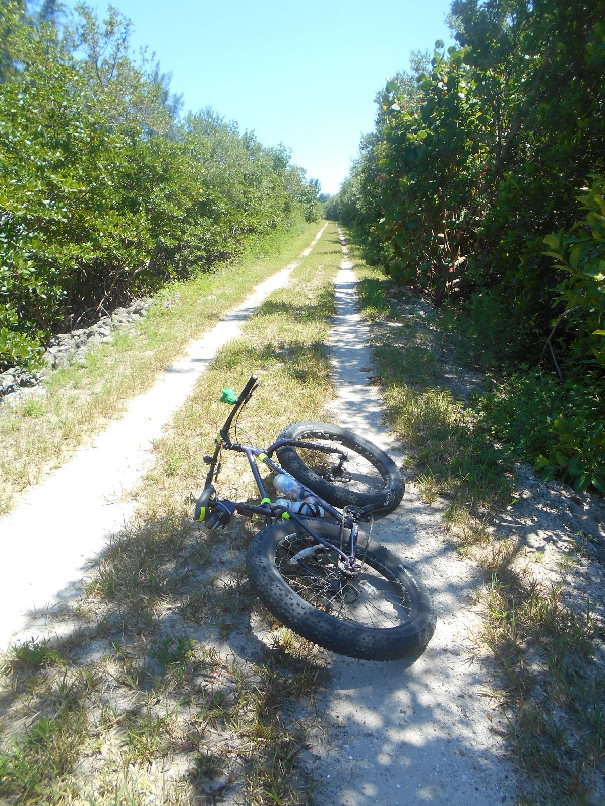 Bicycle Stories: Let's Visit Jack Island State Preserve
