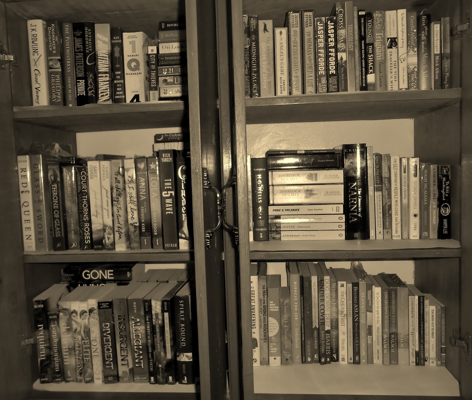 Bookshelves Evolution