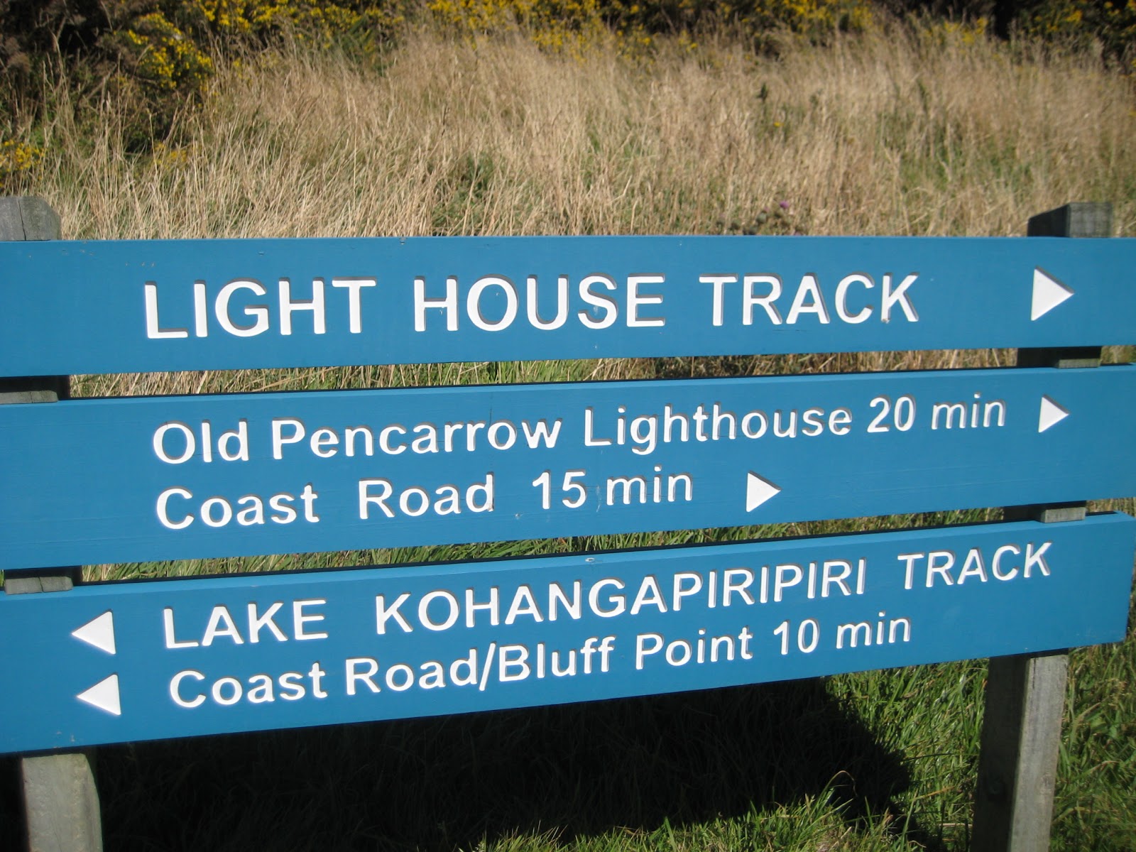 Don & Kathy's NZ Mission: Petone Hike/Pencarrow Lighthouse