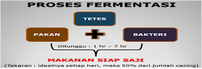 Budidaya Cacing Tanah Rak Bertingkat Hemat Lahan