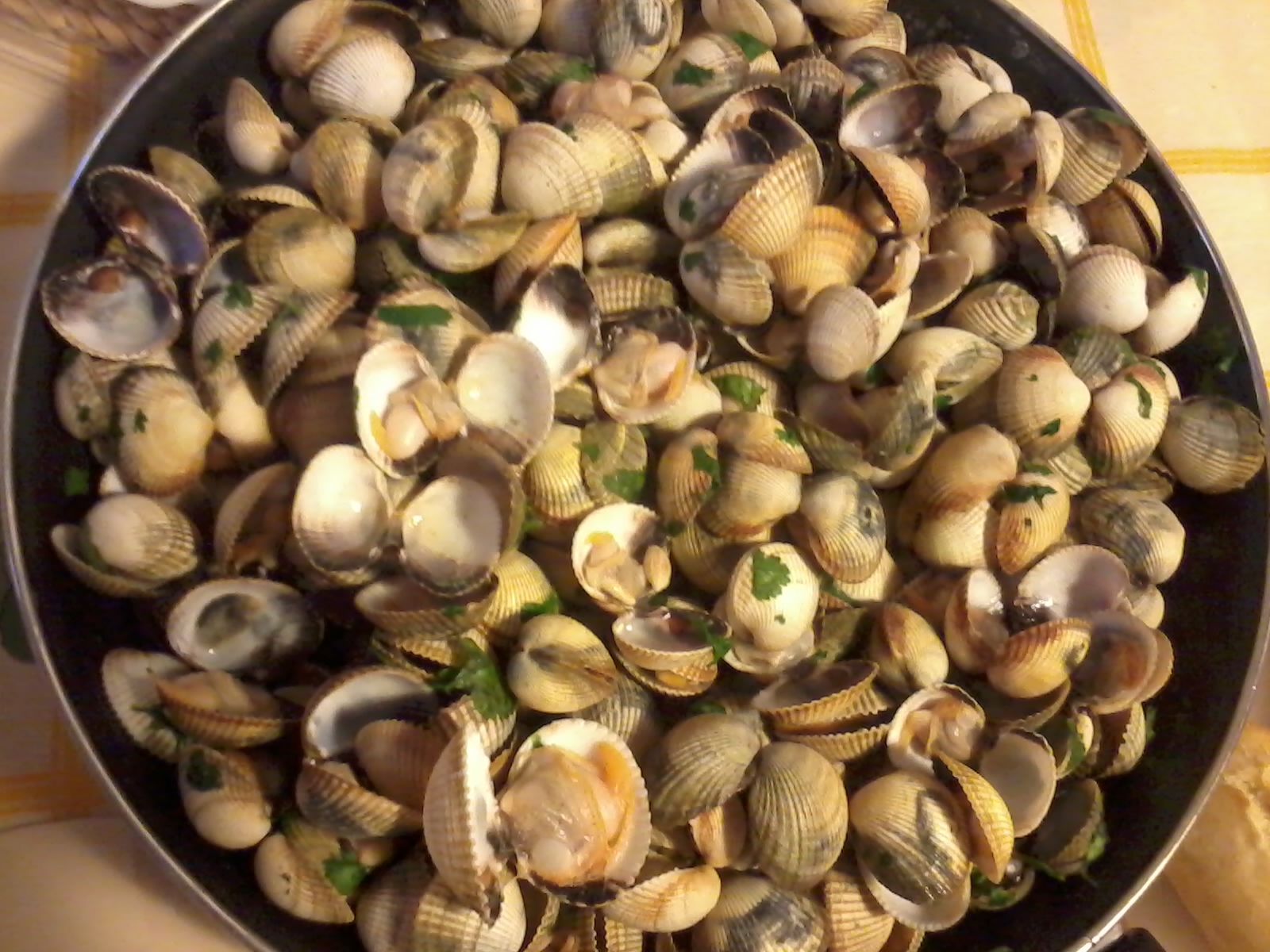 Dicas e Sugestões Gastronómicas: Berbigão ao natural