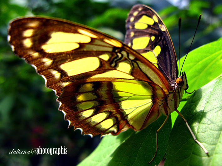 Photographis: May 2013