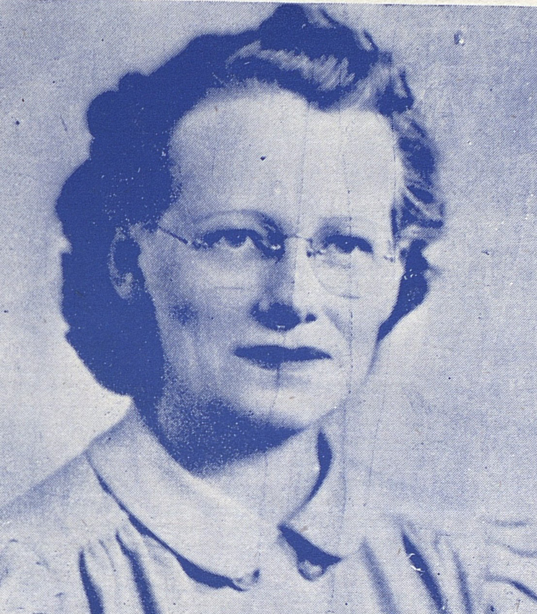 Bird's Eye View: Remembering Pearl Harbor