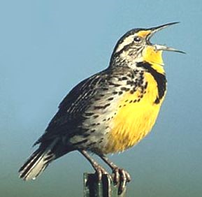 Oregon Socialist Renewal: What does State Sen. Fred Girod have against ...