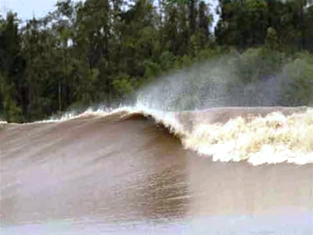 Blog do Edu Ambiental: Pororoca