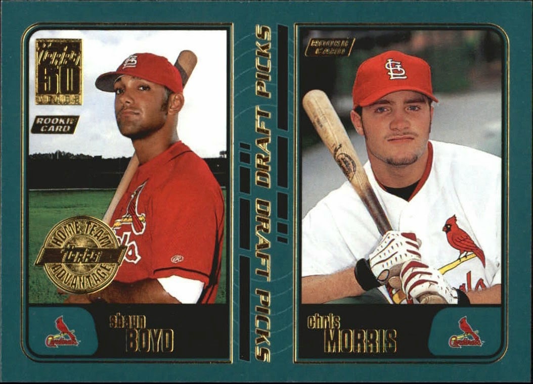 Baseball Cards Come to Life!: Player Profile: Shaun Boyd