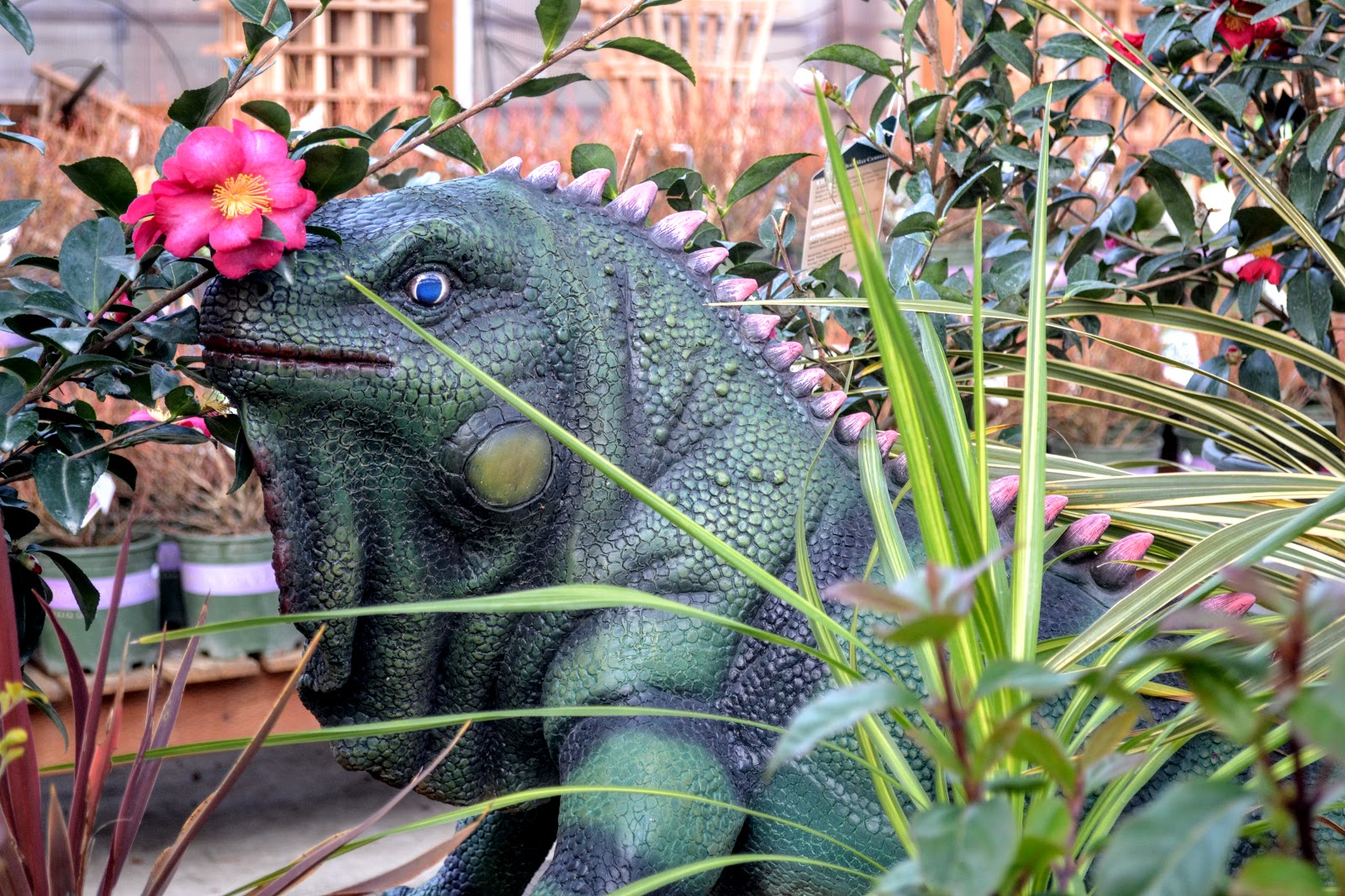 The Outlaw Gardener: Jurassic Park?