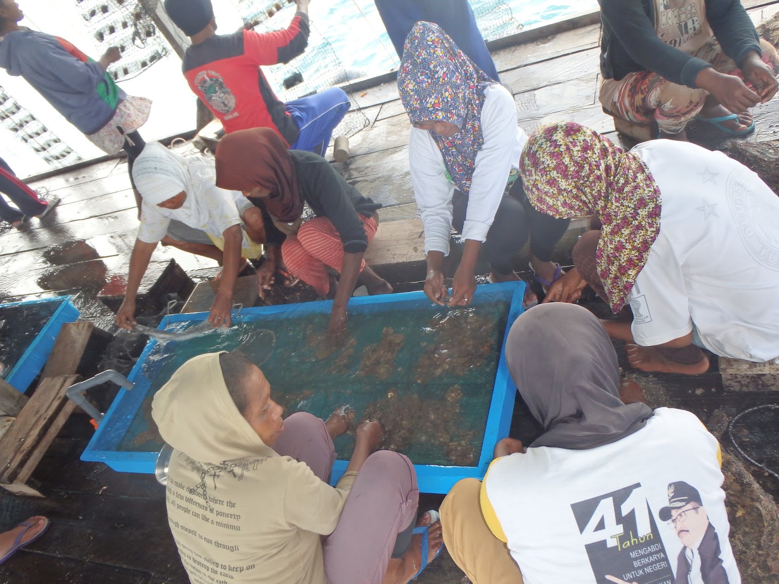 Hadi Purwanto: Budidaya Kerang Mutiara di Kepulauan Kei