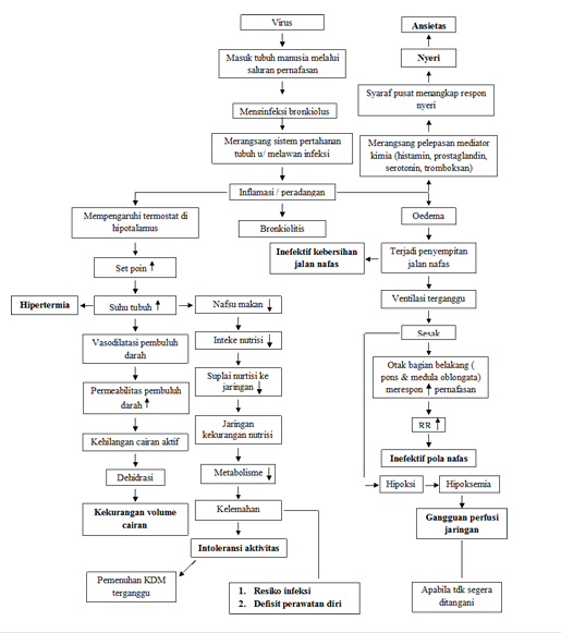 pathway Bronkhiolitis