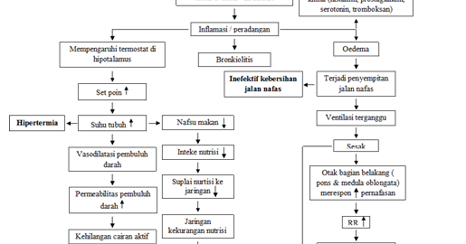 pathway Bronkhiolitis