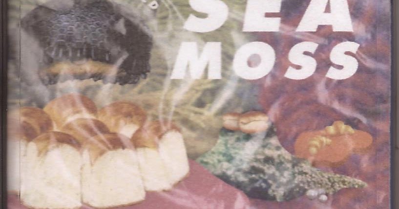 Auxiliary Out: Sea Moss - Bread Bored [Crash Symbols]