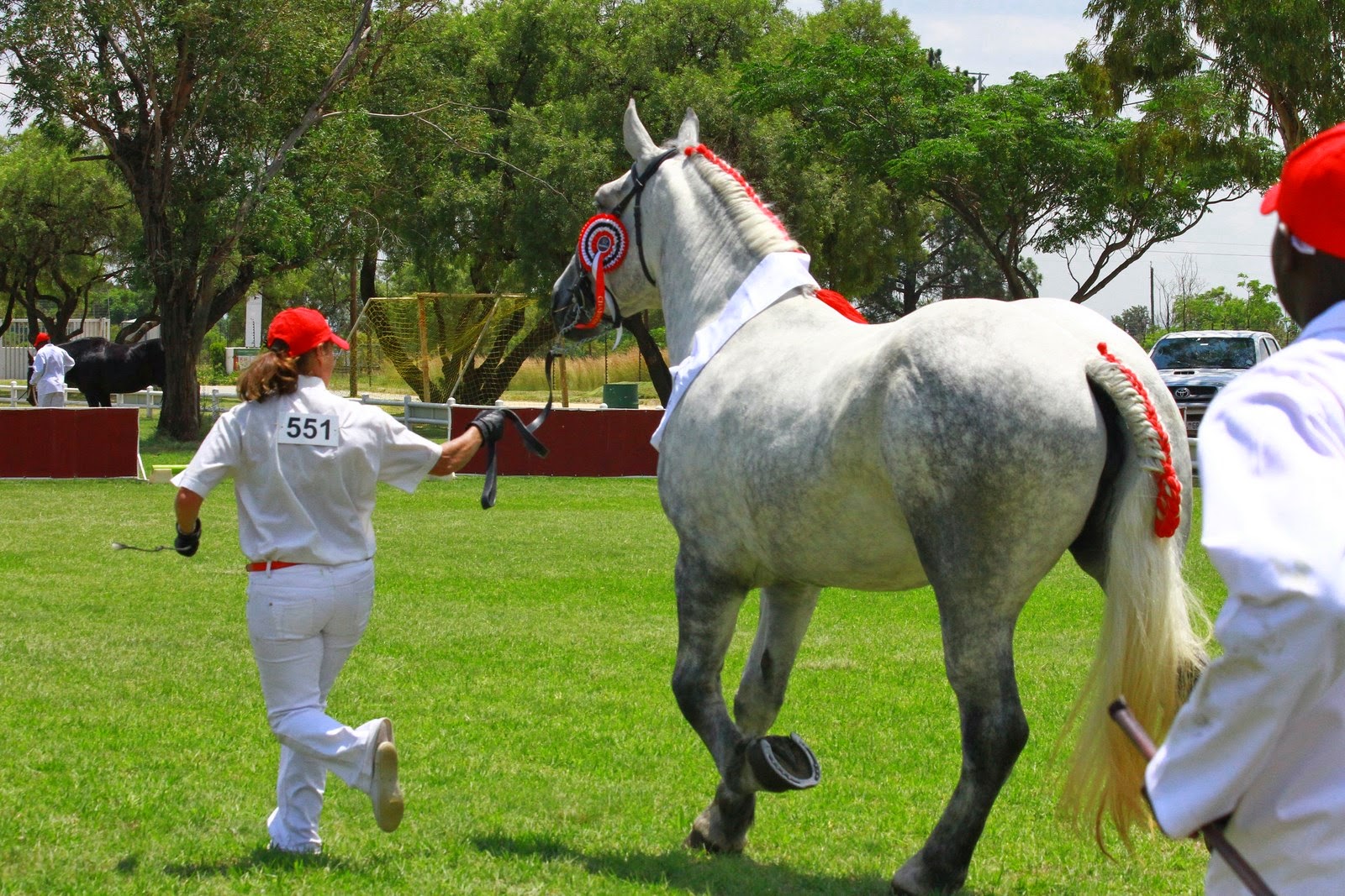 Summerwind Percheron: Summerwind Sharifa ~ Senior and Supreme Champion ...