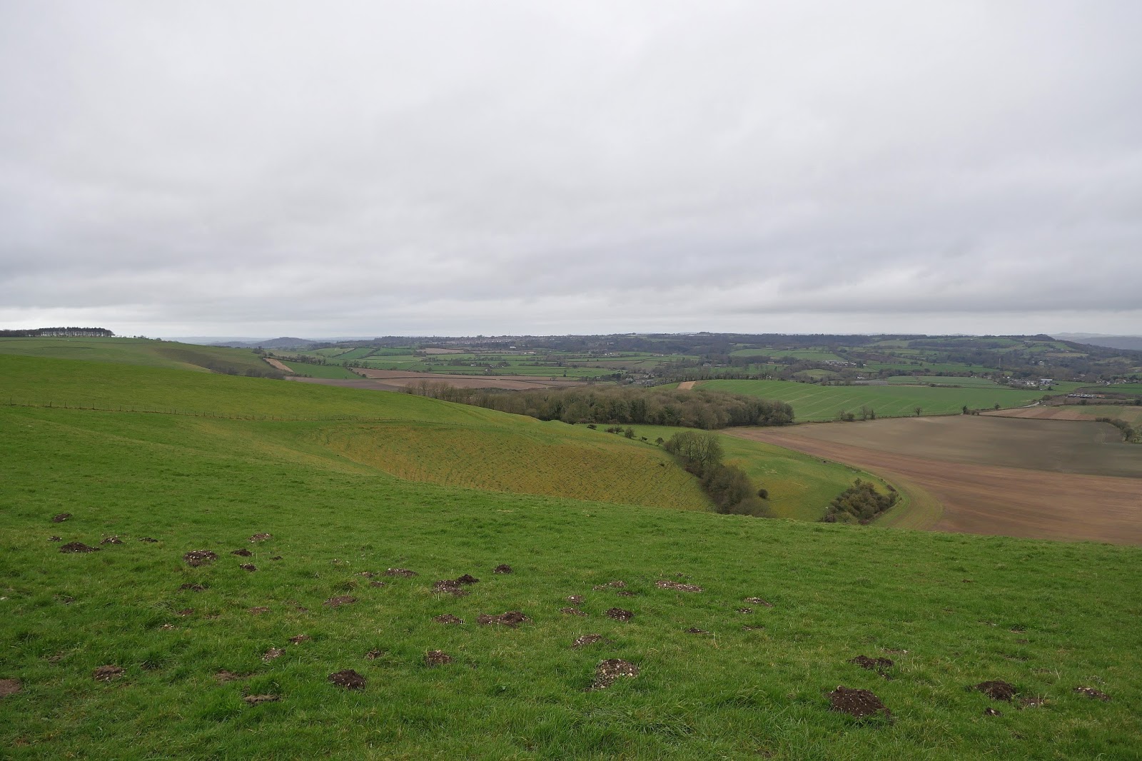 Walking in the country: Win Green to Ashmore (Wessex Ridgeway ...