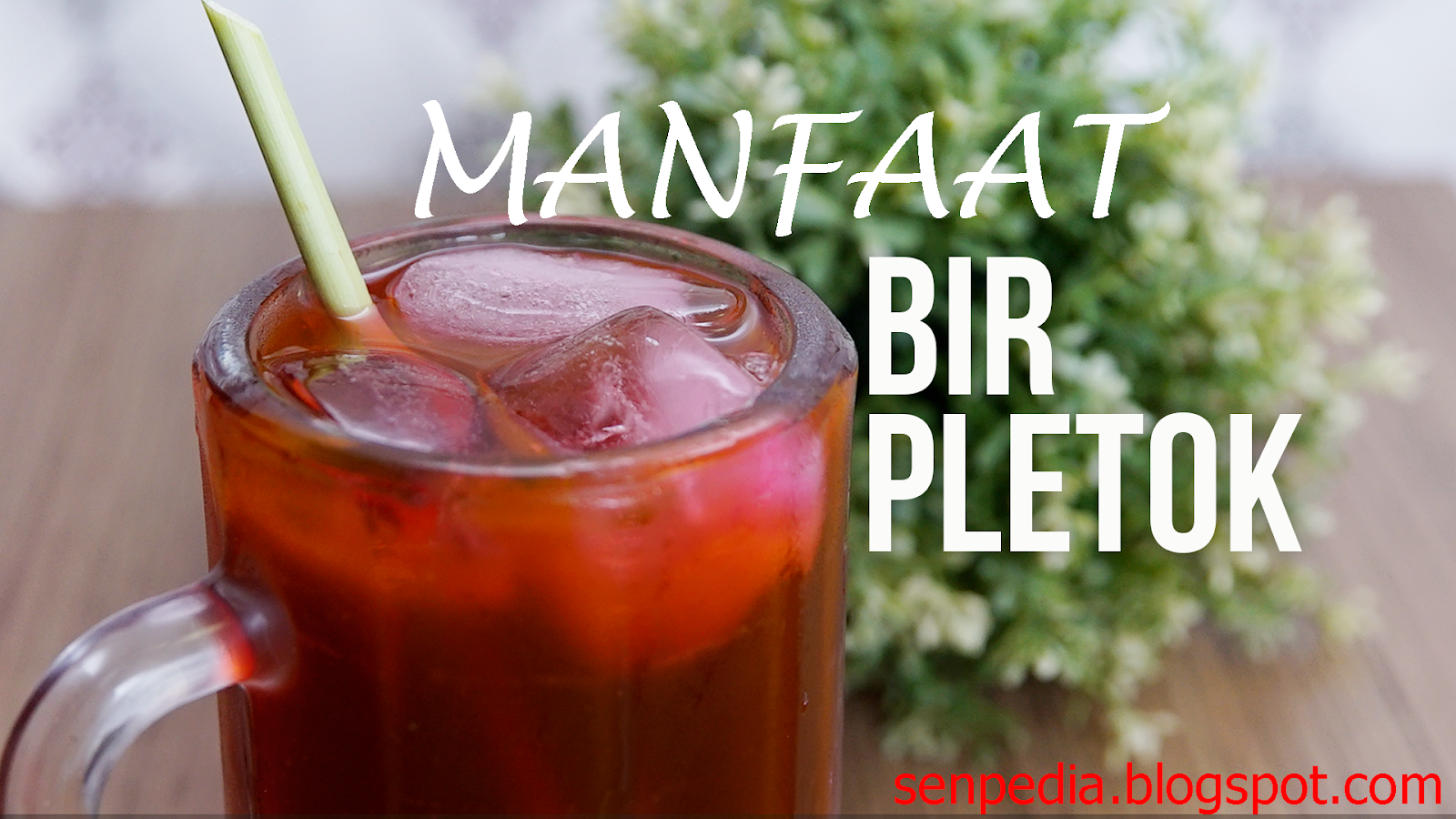 Inilah Khasiat dan Manfaat dari Bir Pletok !!! No. 5 Nggak Nyangka ...