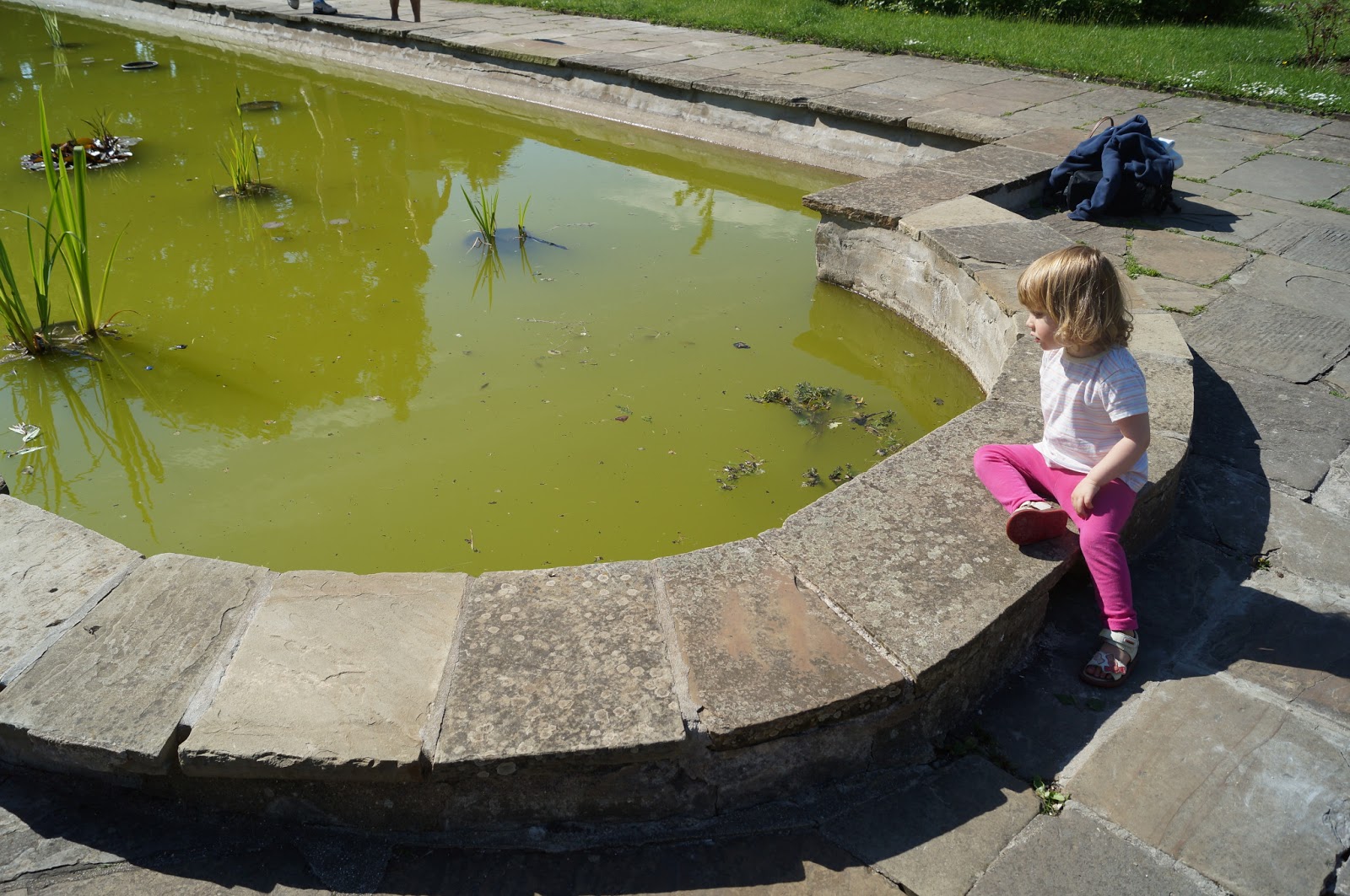 Canford Park, Bristol and Some Childhood Memories | Bristol Mum