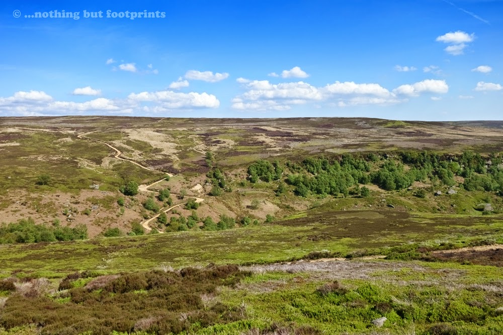Bilsdale and Bransdale (North York Moors)