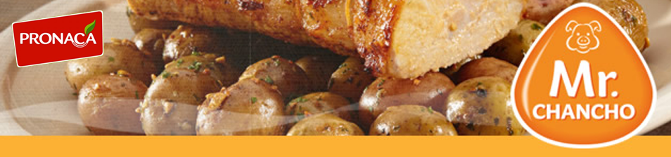 EMPRESA PRONACA: HISTORIA